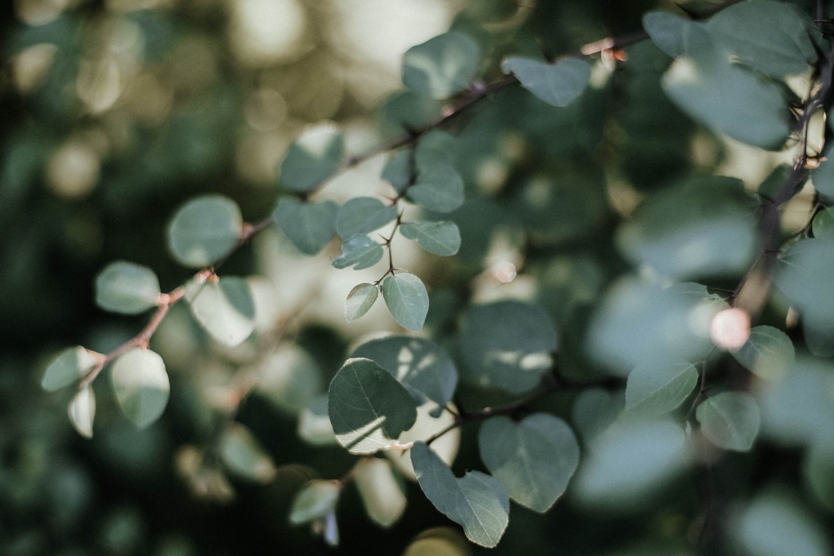 Counselling | Megan Phillips Counseling